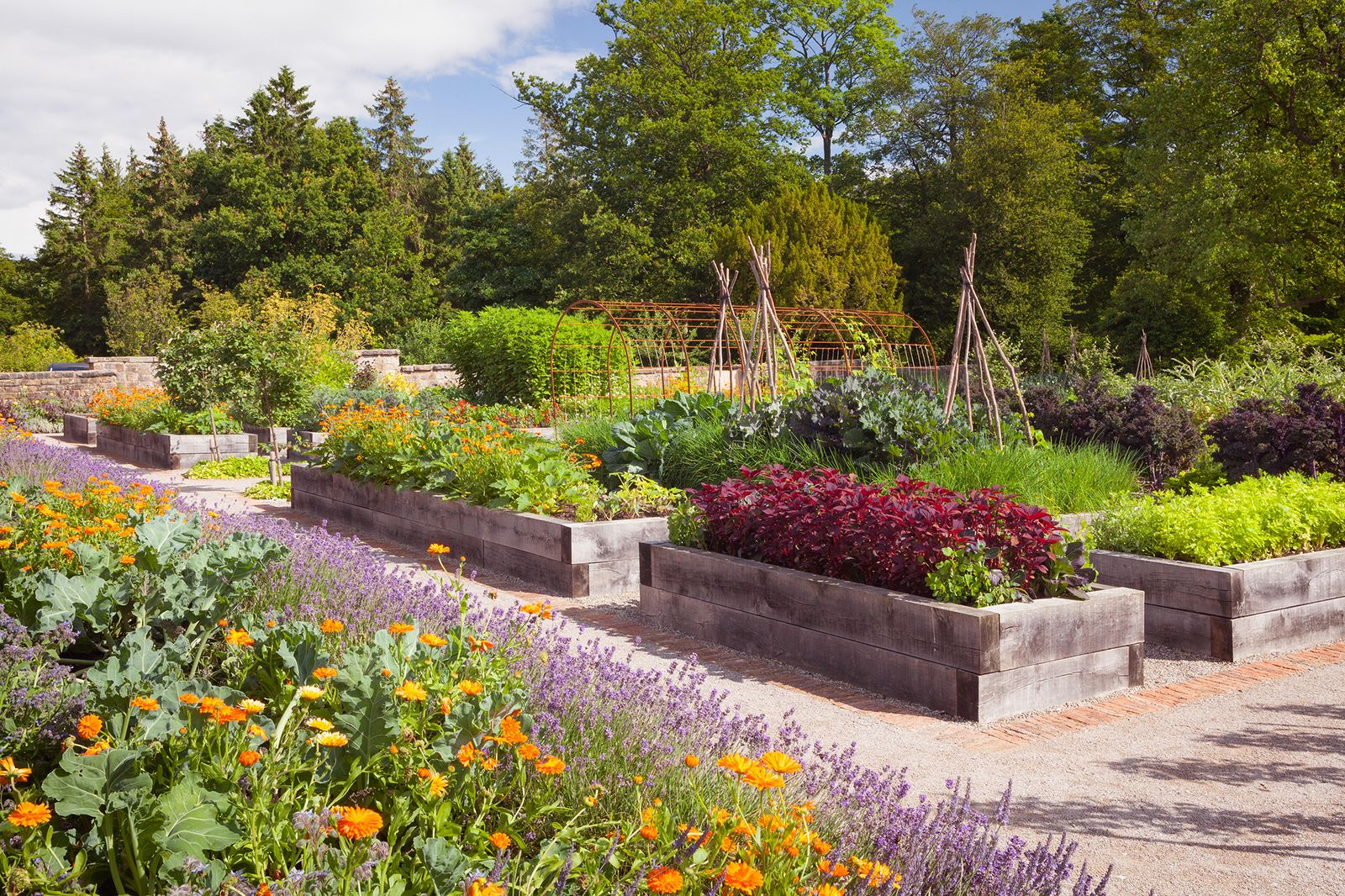 Planning a kitchen garden: from layouts to the best crops | Homes and ...
