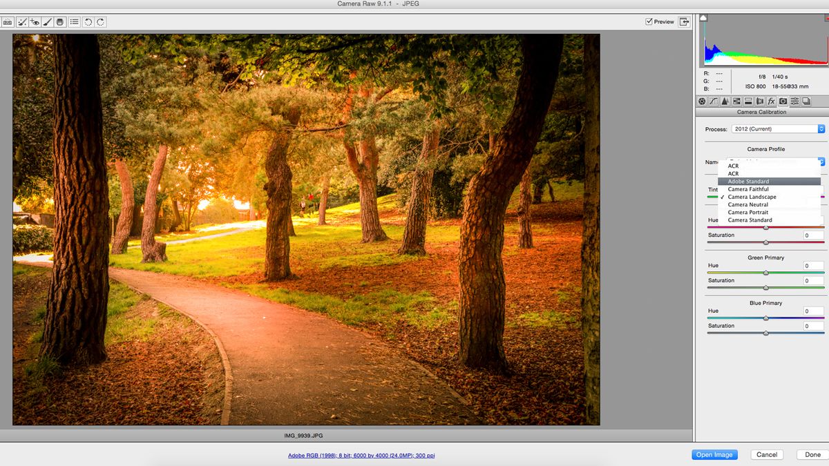 How to calibrate a monitor: make sure your photographs look at their ...