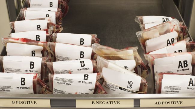 How many blood types are there? | Live Science