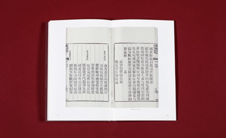 Ebook: 'Passages in the Making of a Book' - a study of Xu Bing's iconic ...