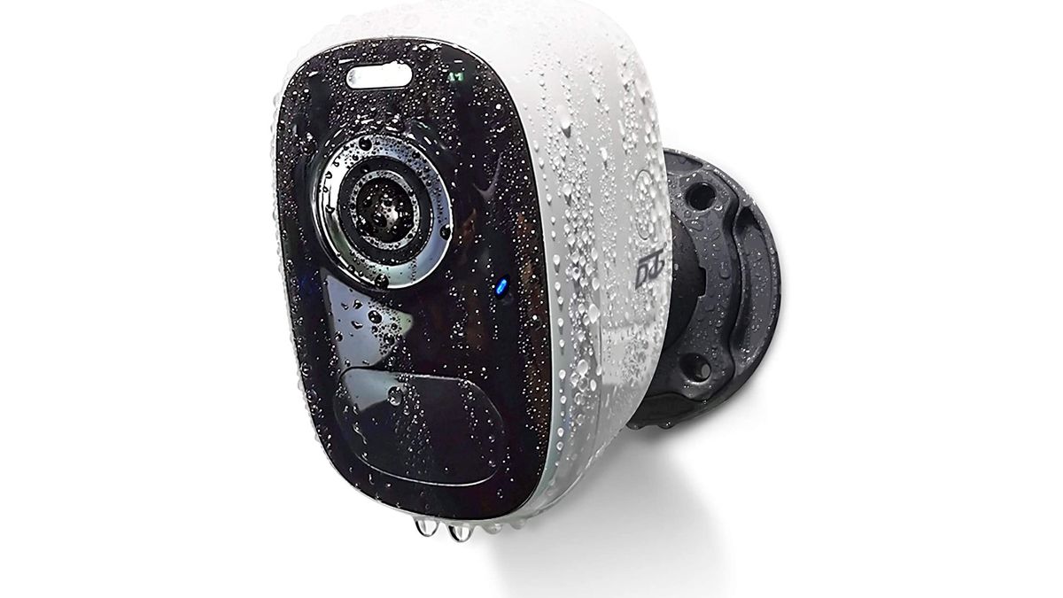 Best outdoor wireless cameras for pets 2024 | PetsRadar