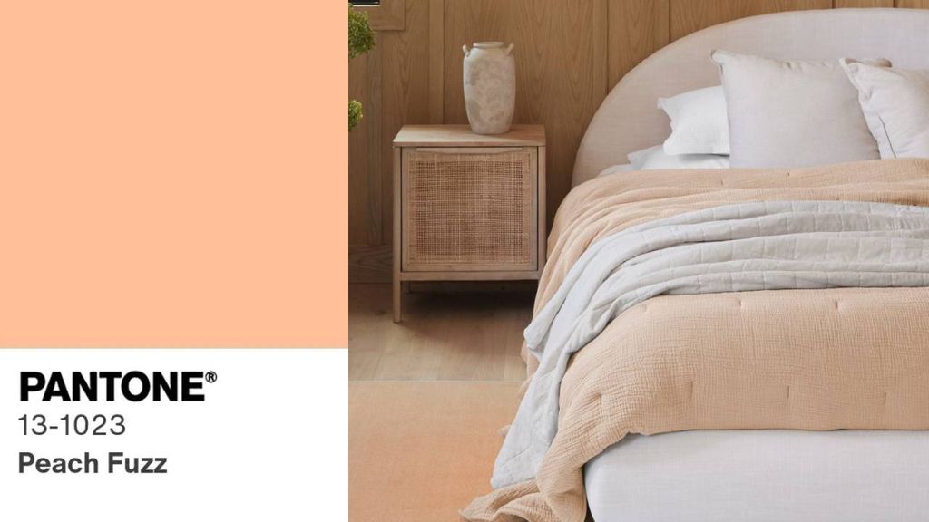 Pantone Colour of the Year 2024: 9 appliances and accessories to add to ...