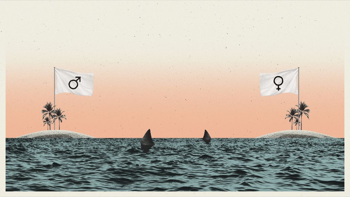 2024: the year of the global gender rift | The Week