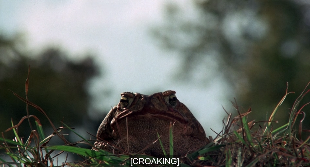 Frogs is the greatest horror movie you've never seen | The Week