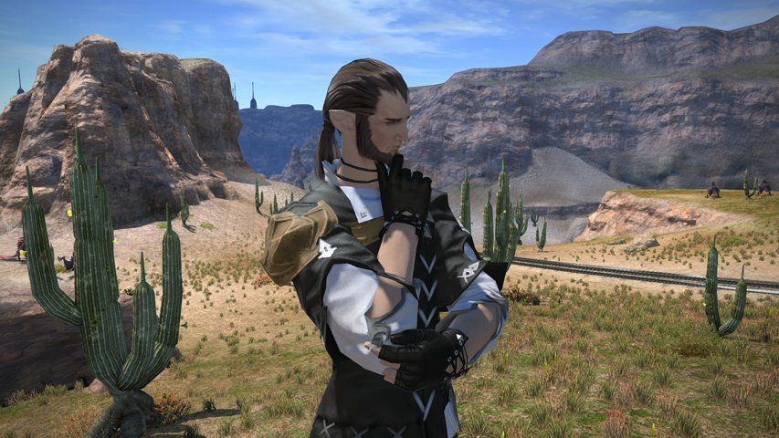 Final Fantasy XIV guide: List of playable races | Windows Central