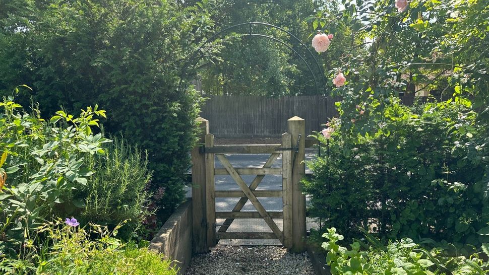 How I used a cheap Amazon arch to train hedges in my garden | Homebuilding