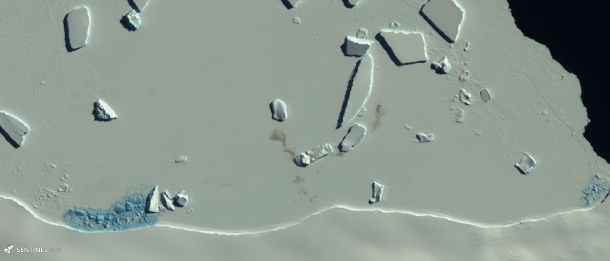 Poop stains visible from space reveal hidden colonies of Antarctic ...
