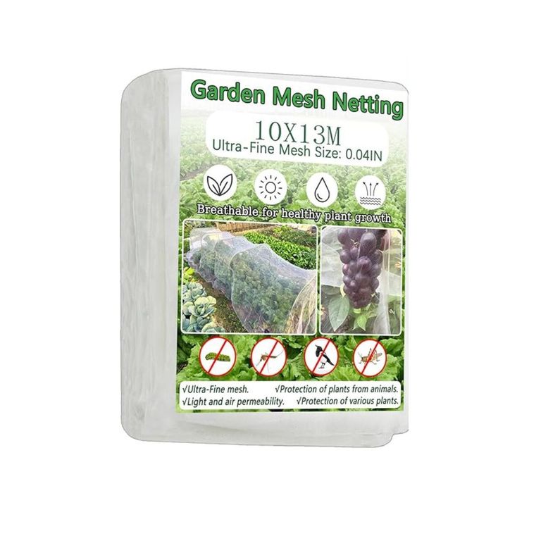 How to identify and get rid of root aphids quickly | Homes and Gardens