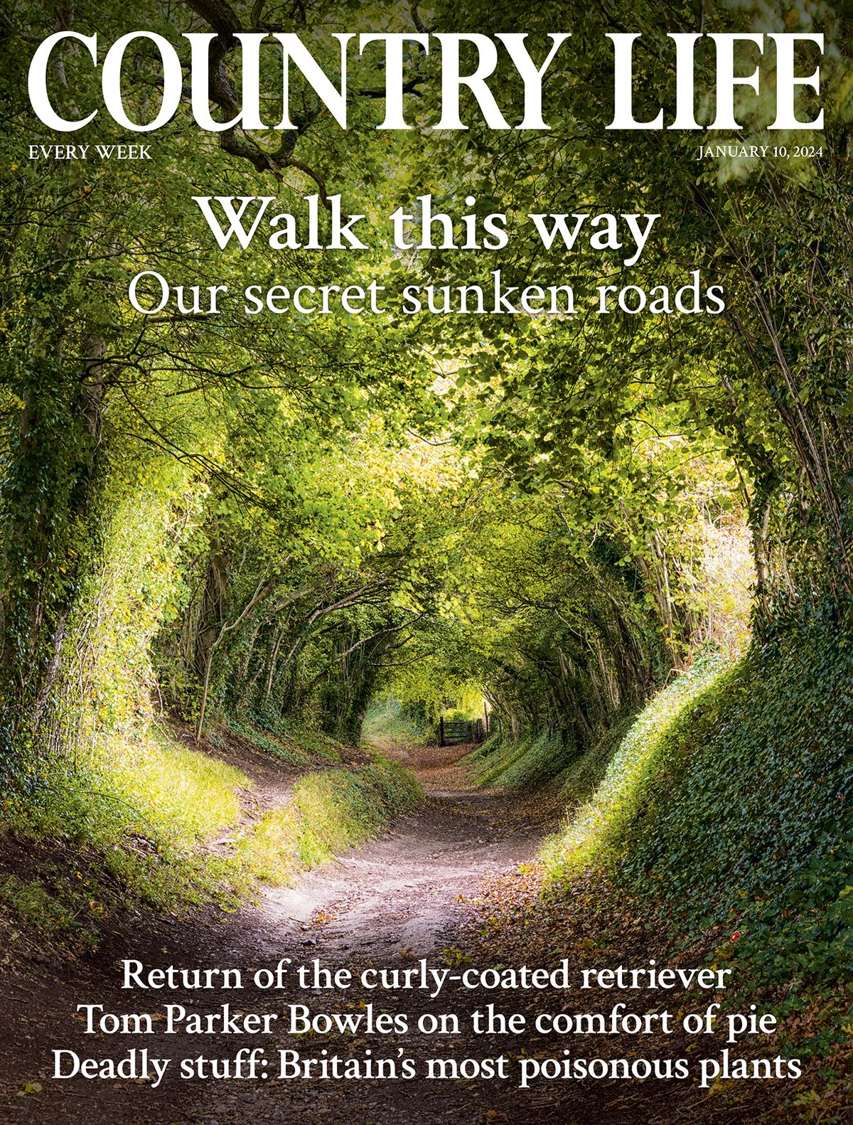 Country Life 10 January 2024 | Country Life