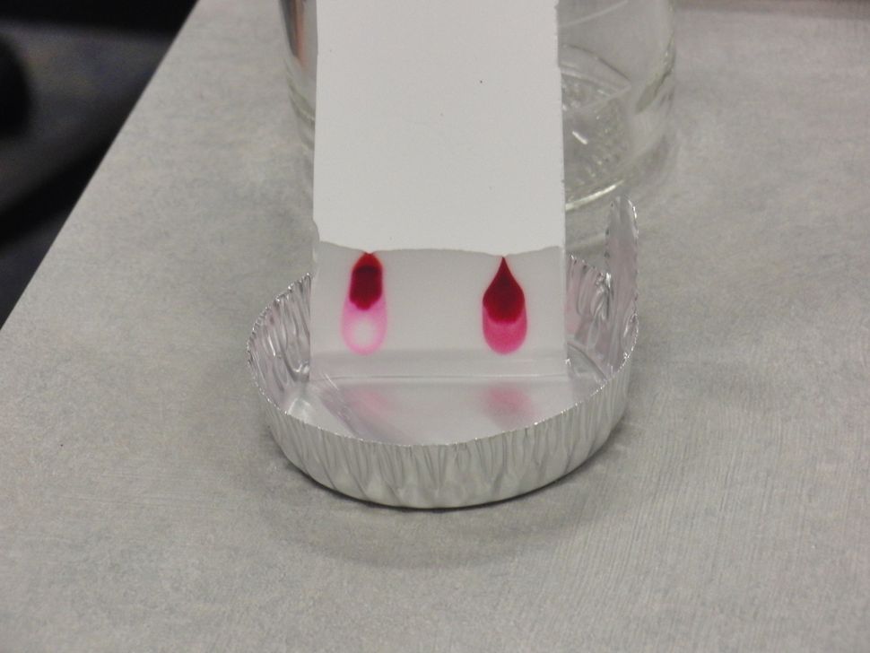 Test Your Ink: Stability - Picking The Best Ink And Paper For Your ...