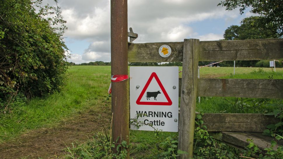 Hiking trail signs: what they mean and how to use them | Advnture