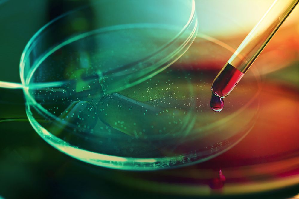 Antibiotic 'Cocktails' Could Fight Resistant Bugs — But It's Tricky ...