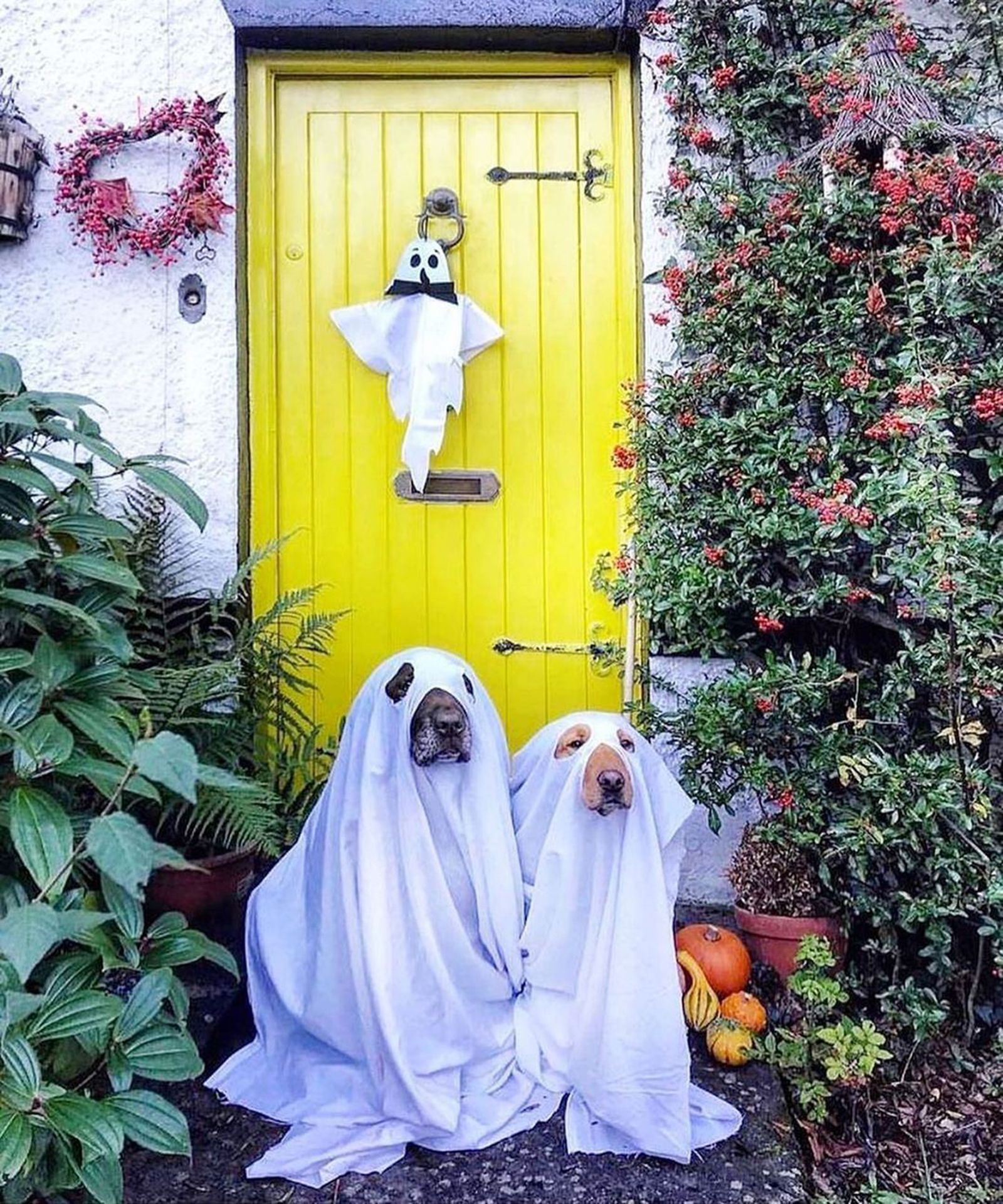 Halloween door decoration ideas – 13 spooky looks for your front door ...