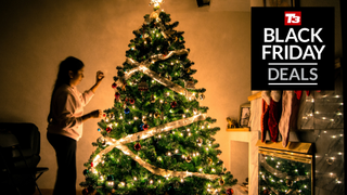 Aldi's cult real Christmas trees are back and under £20 | Ideal Home
