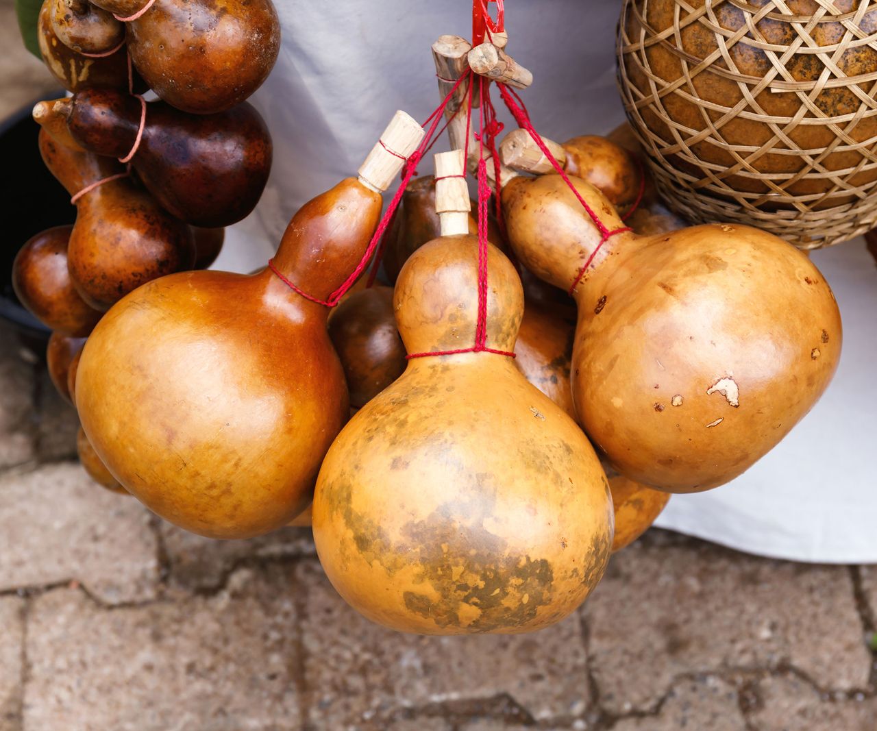 When to harvest gourds to make attractive ornaments | Homes and Gardens