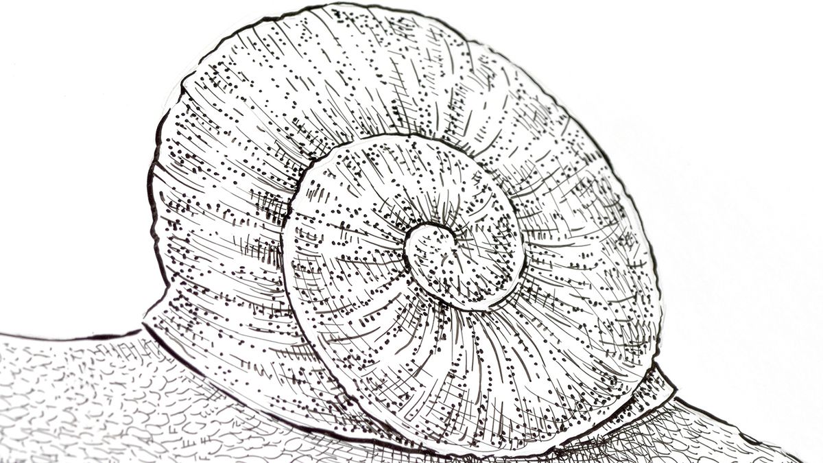 Create organic textures in ink | Creative Bloq
