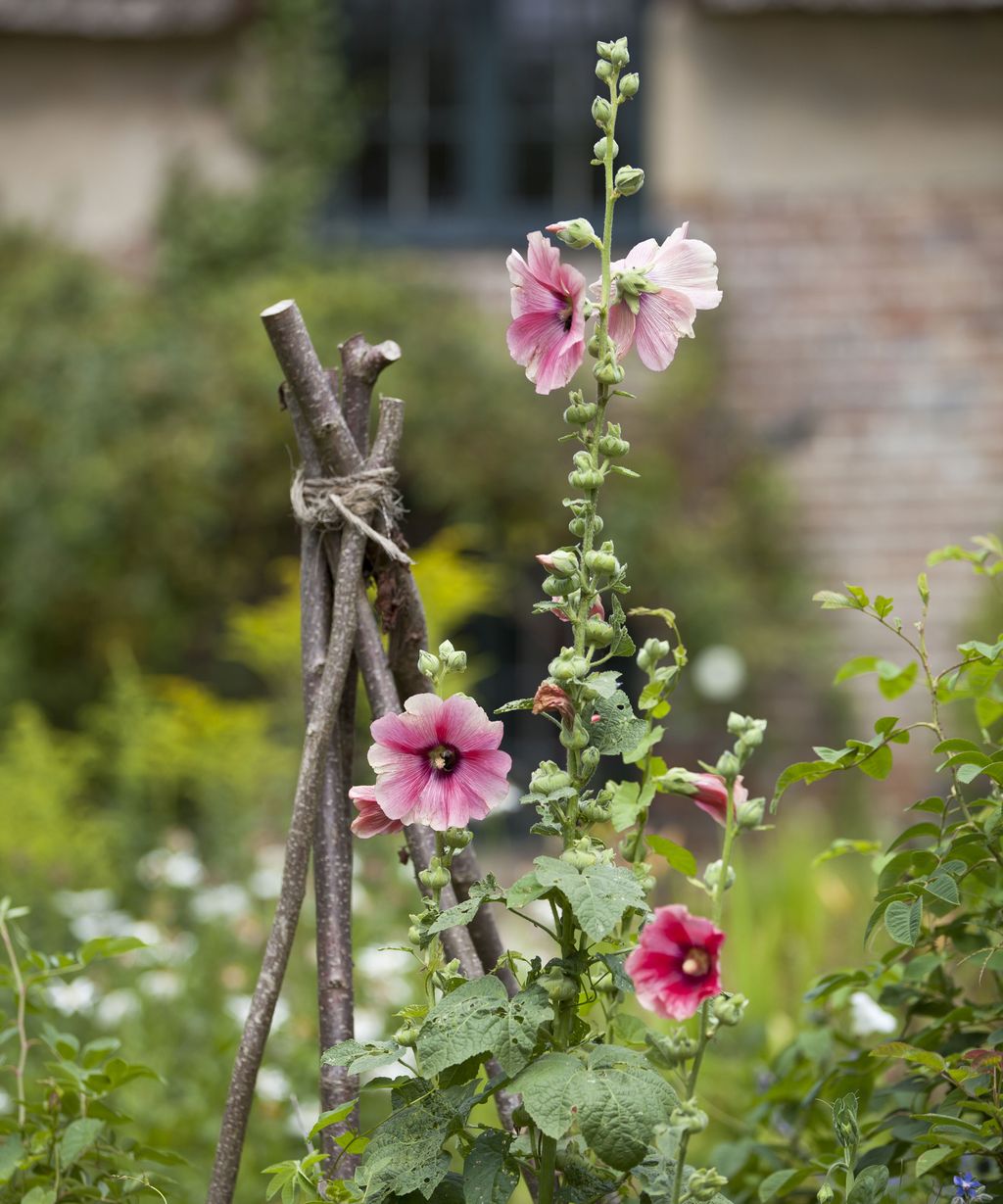 Victorian garden design: 5 key elements for your backyard | Homes and ...