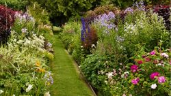 How to create a wildflower front yard: expert advice | Homes and Gardens