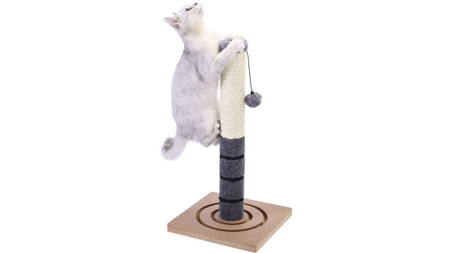 Best cat toys: Tantalizing toys to sharpen a kitty's mind and body ...