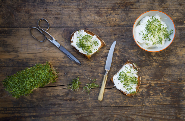 What is Quark? Everything you need to know about this healthy dairy ...