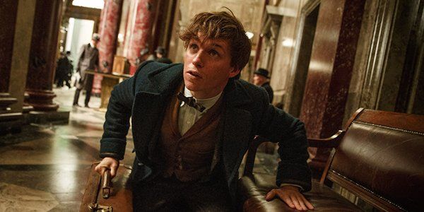 Newt Scamander's Backstory: What You Need To Know About The Fantastic ...