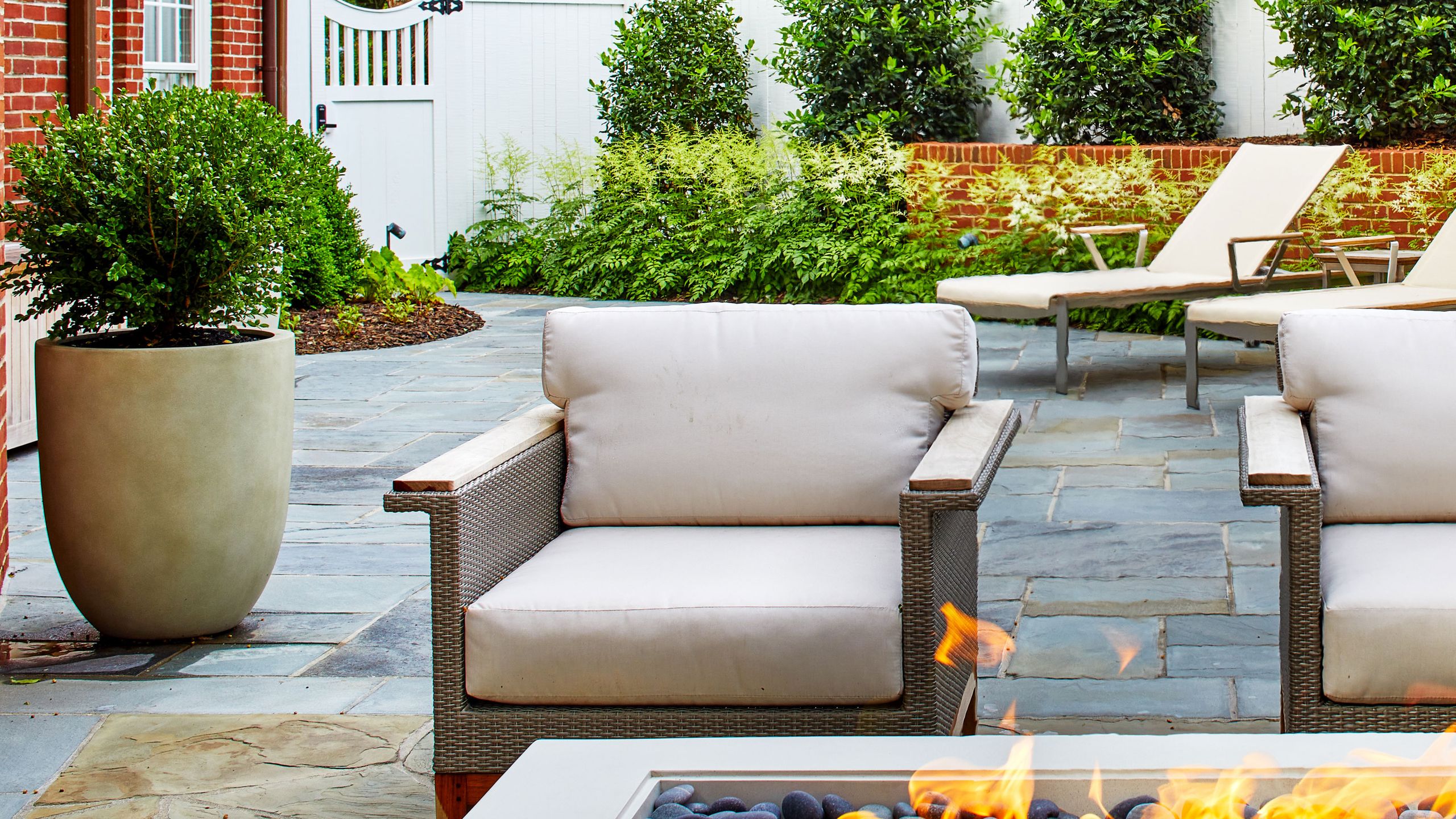 Best Shrubs For Containers — 6 Plants That Experts Recommend | Livingetc