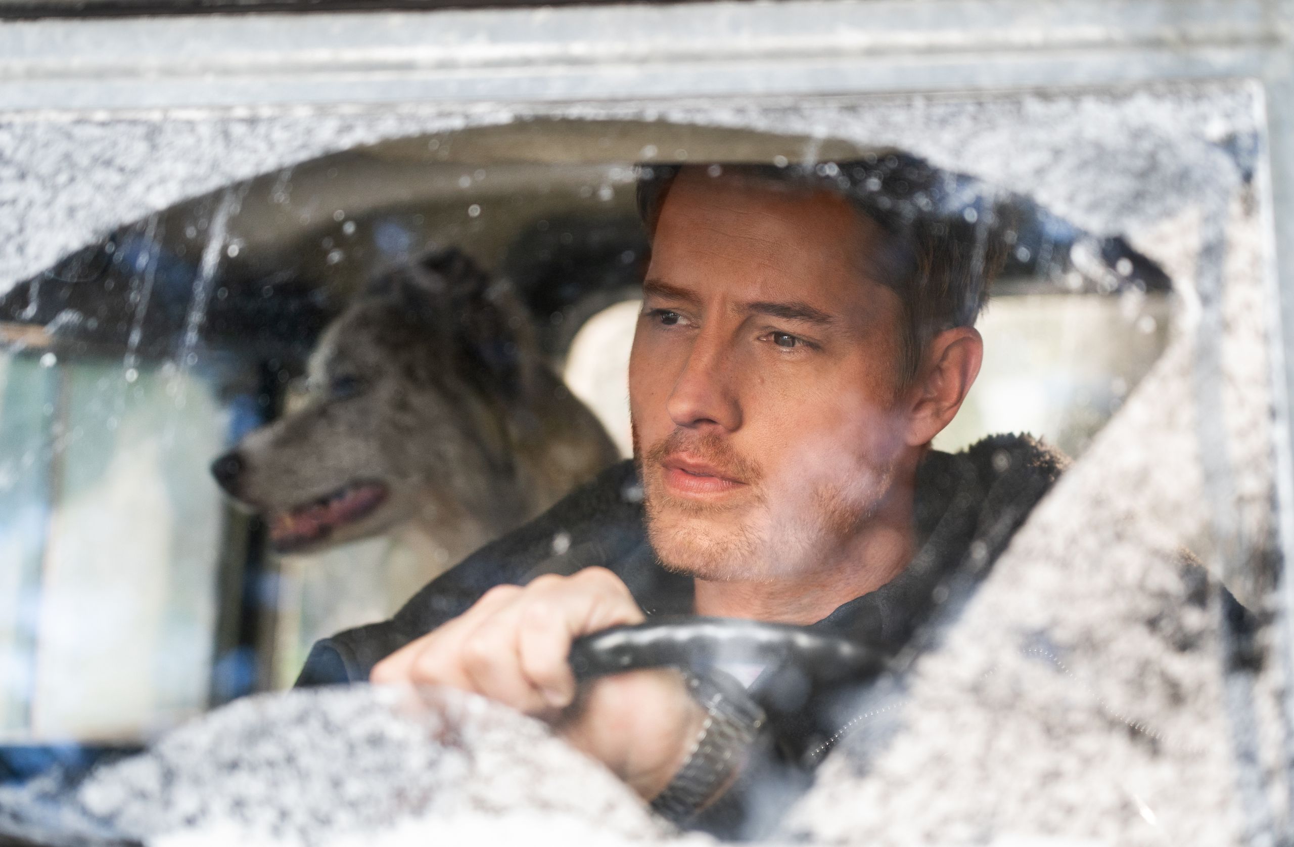 The Noel Diary: all we know about the festive movie | What to Watch
