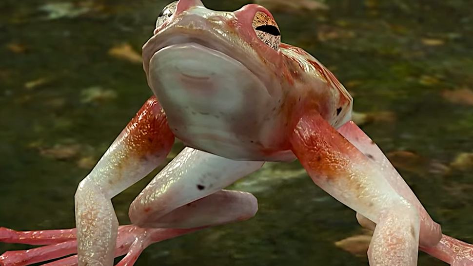 10 of the most no-good, upsetting frogs in gaming—from Dark Souls ...