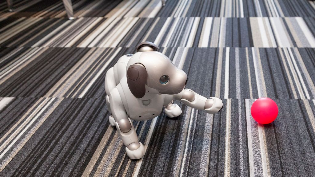 Sony Aibo Review: What It’s Like To Live With a $2,900 Robot Dog | Tom ...