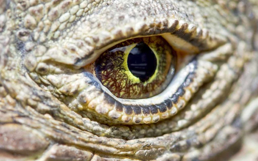 10 Best Funds for Aggressive Investors | Kiplinger