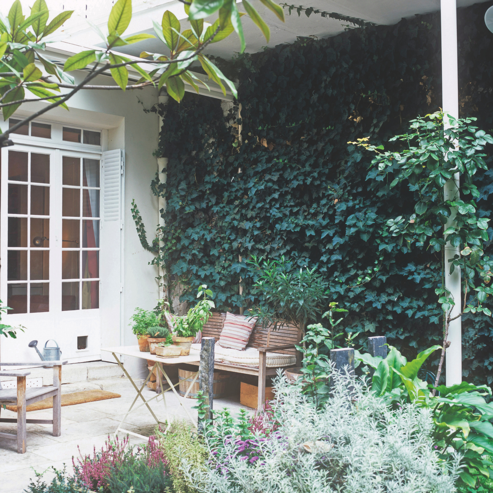 Should you remove ivy from your house? Pros and cons | Ideal Home