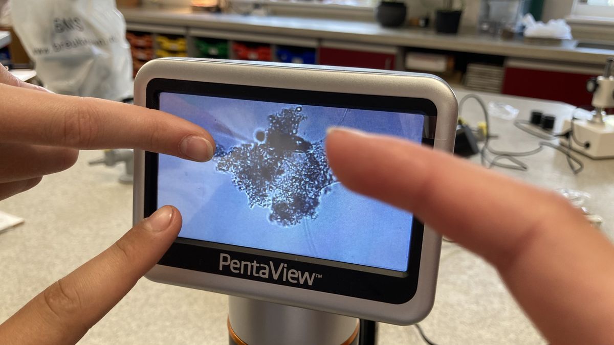 Celestron PentaView LCD Digital Microscope Review | Live Science
