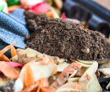 5 tips for lasagna gardening in containers: keep yours going beyond one ...