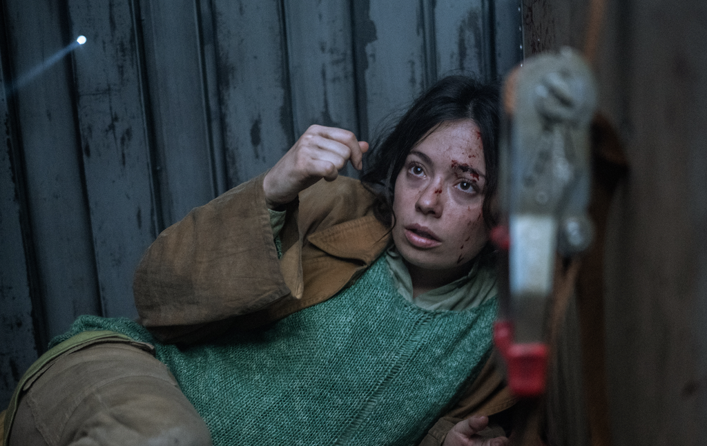 Nowhere cast: who's who in the Netflix survival movie | What to Watch