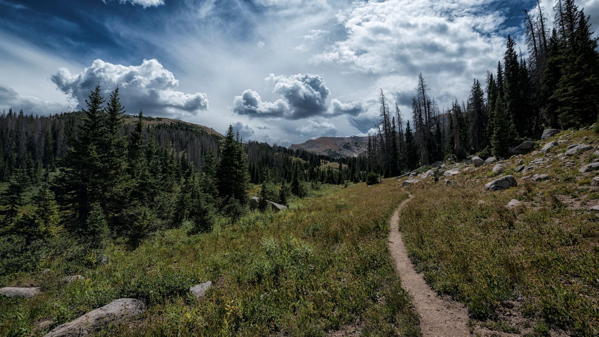 "What’s not to love?" – this 177-mile hiking trail is Colorado's newest ...