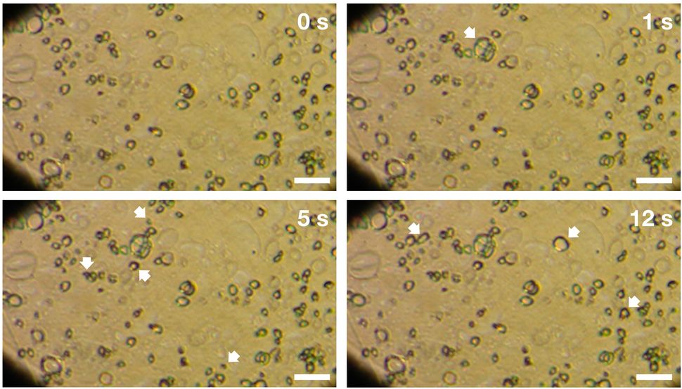 Interstellar Ice Acts Like a Liquid in Ultraviolet Light | Space