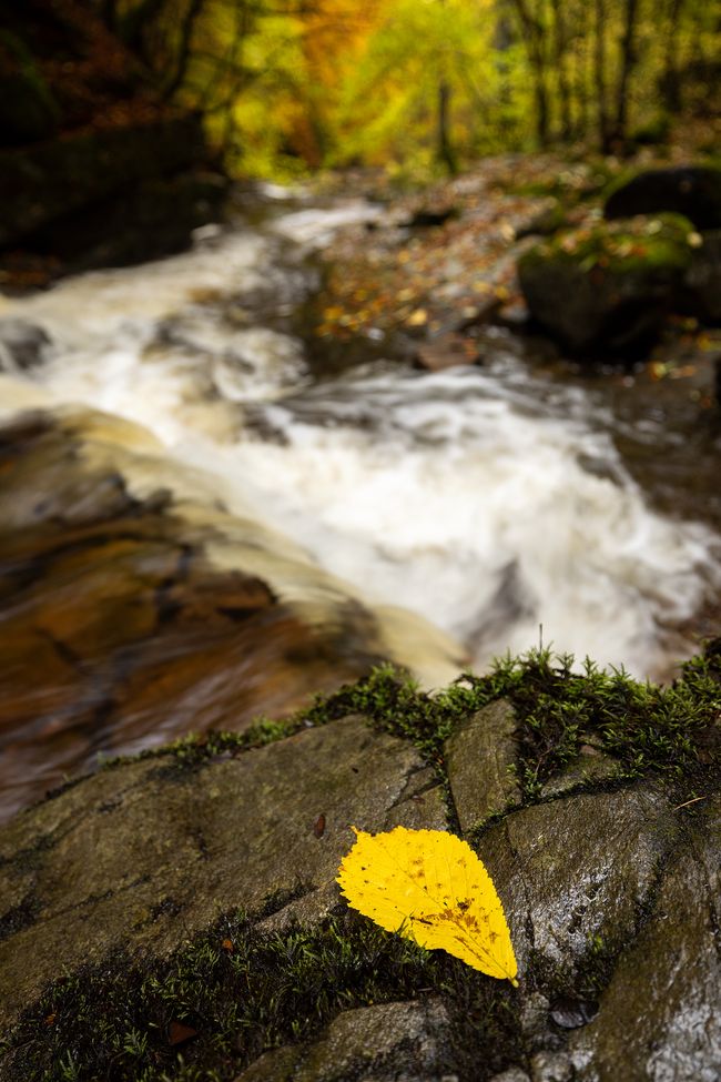 10 pro landscape photography tips: Take amazing shots of the great ...