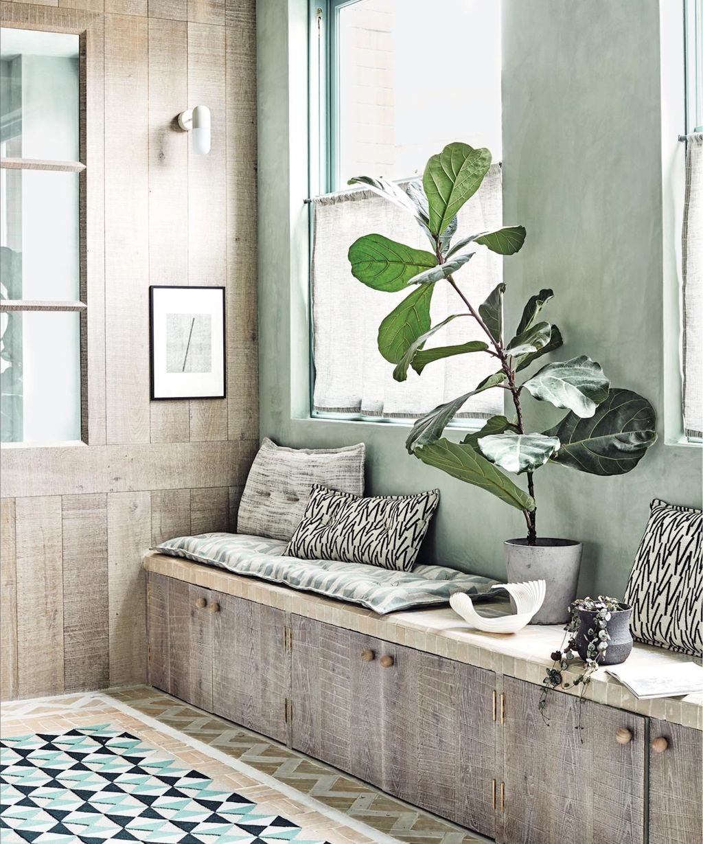 3 indoor plant jobs every gardener forgets to do in fall | Homes and ...