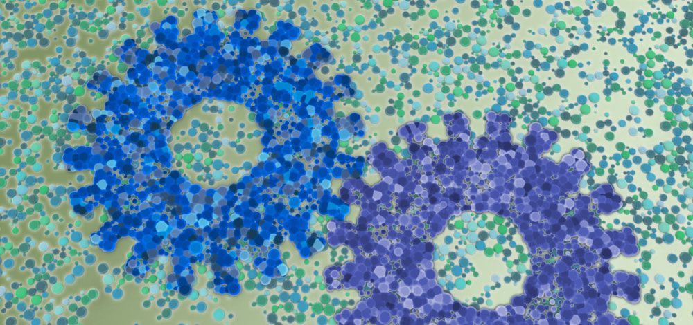 Nature-Inspired Factories Are the Future of Manufacturing | Live Science