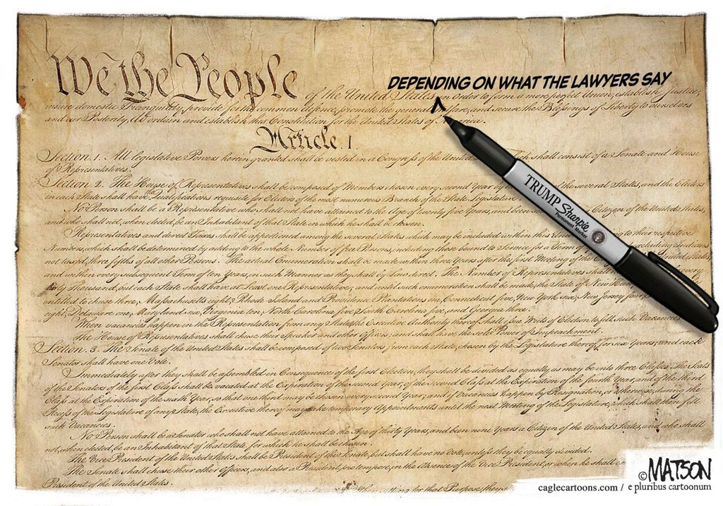 5 fundamentally funny political cartoons about the US Constitution ...
