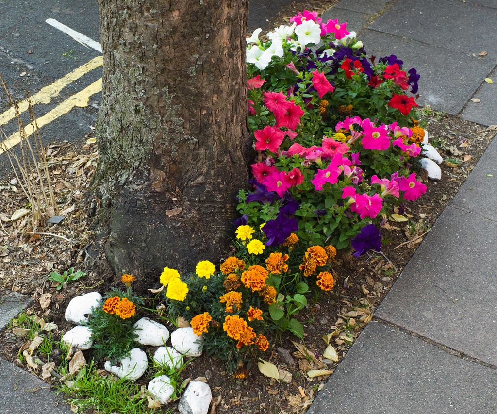 What is guerrilla gardening? We take a closer look | Homes and Gardens