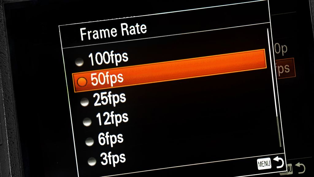 Wildlife photography with a twist: Capture birds in flight with this ...