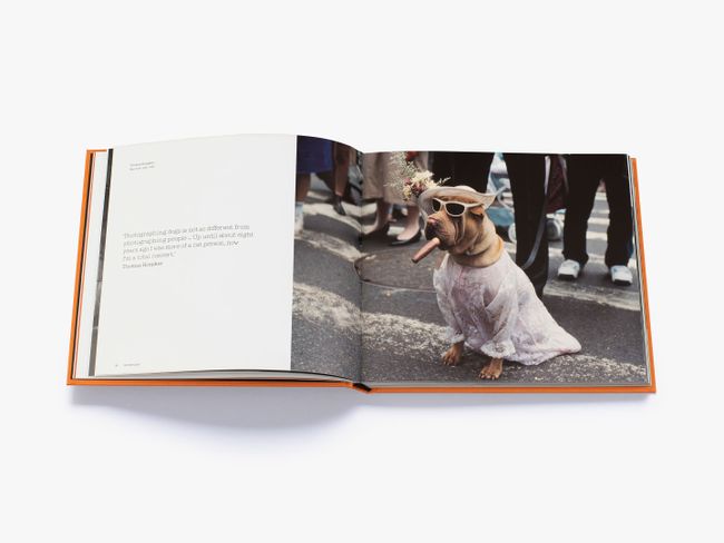 Paws for thought with a copy of the new Magnum Dogs book | Digital ...