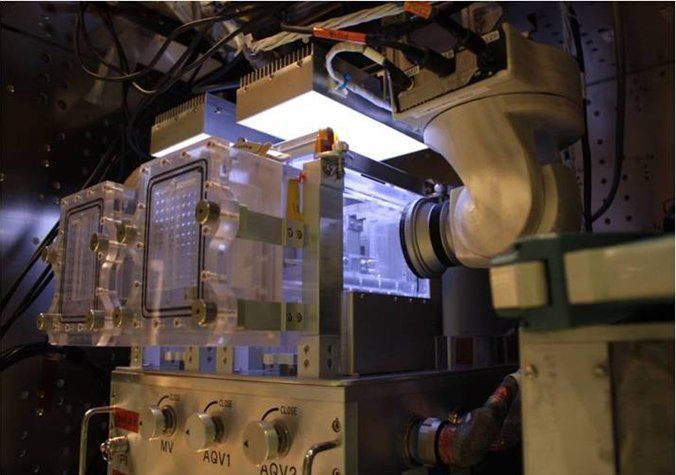 China is sending zebrafish to the Tiangong space station | Space