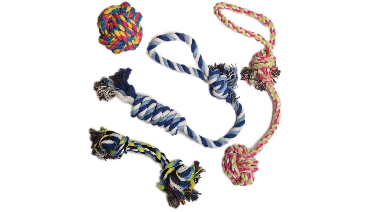 Best rope dog toys for fetching, chewing and tug of war | PetsRadar