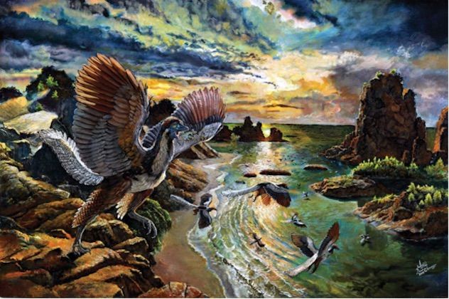 'Phantom' Archaeopteryx, One of the World's 1st Birds, Could Probably ...