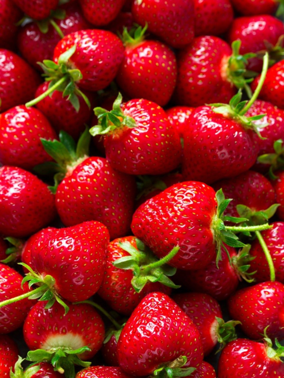 Types Of Strawberry Plants - Information About Different Strawberries ...
