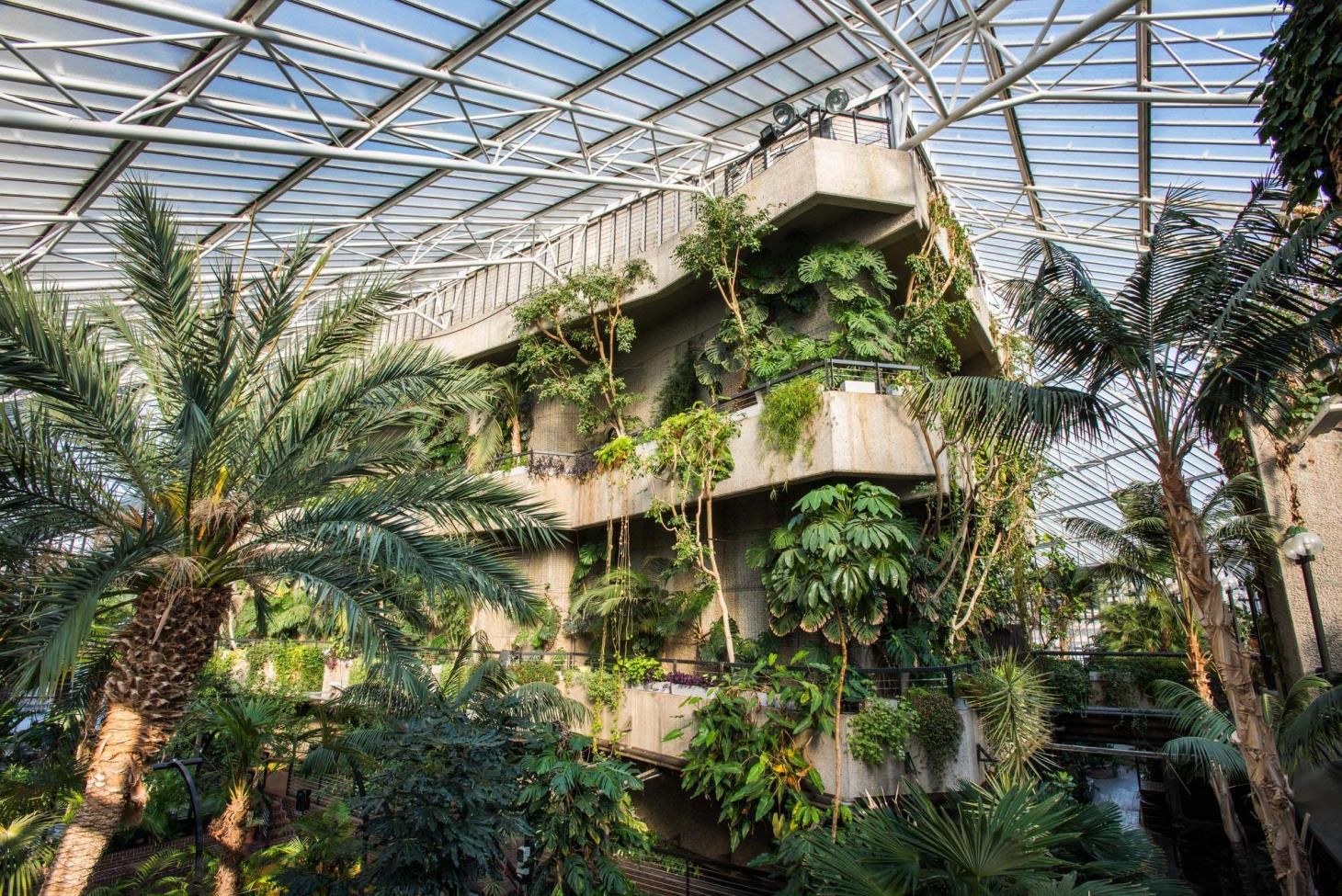 The Barbican Conservatory guide to caring for indoor plants | Wallpaper
