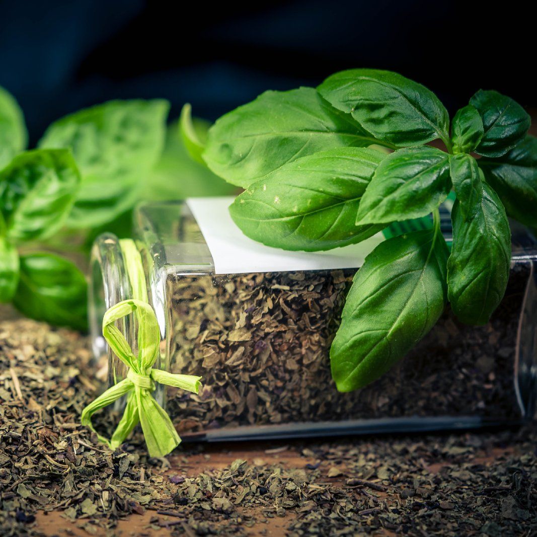 3 Easy Ways To Dry Basil | Gardening Know How