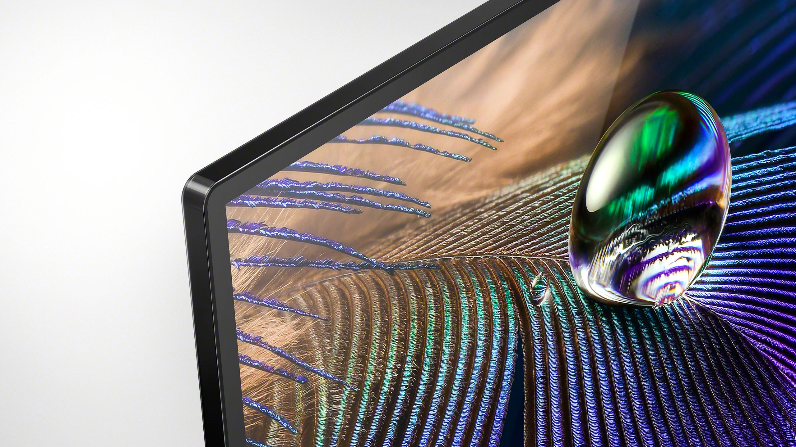 How to clean an OLED TV: quick tips for a sparkling, dust-free screen | T3